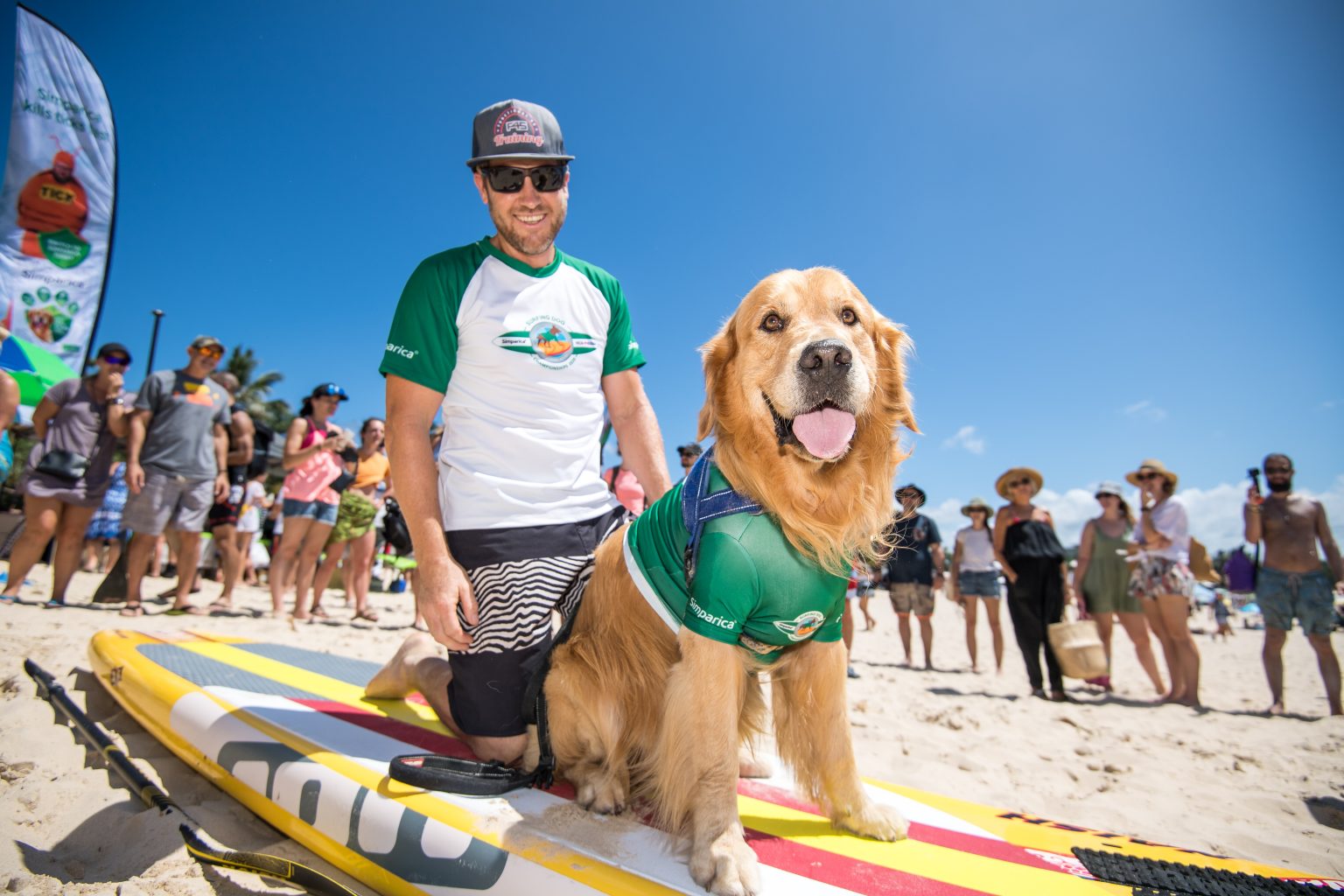 2022 VetShopAustralia Surfing Dog Championships | Noosa Festival of ...