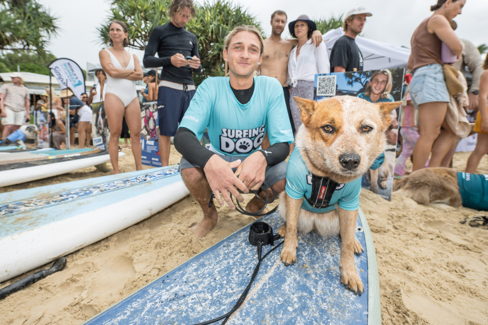 What to Look Forward to at the 2026 Noosa Festival of Surfing | Noosa ...